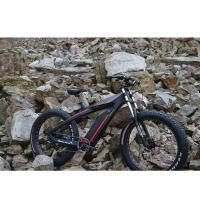 China Carbon Fiber Electric Mountain Bike 750W BAFANG Motor 26x4.0 Fat Tire Disc Brake for sale