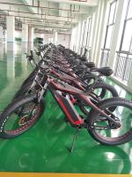 China Carbon Fiber Electric Mountain Bike 750W BAFANG Motor 26x4.0 Fat Tire Disc Brake for sale