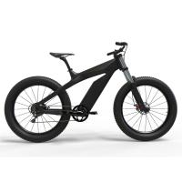 China Domanca Carbon Fiber Fat Tire Electric Bike 750W 48V 26 inch Off Road eBike with Jelly Power Battery for sale