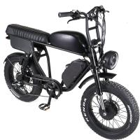 China OEM 1000W Dual Motor Fat Tire Electric Bicycle 20 Inch 48V Aluminum Alloy Frame for sale