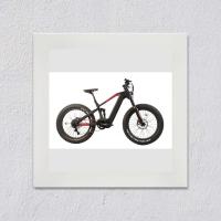 China 29 Inch Carbon Fiber Electric Mountain Bike 48V 1000W Bafang Motor 13Ah Battery for sale