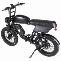 China OEM 1000W Dual Motor Fat Tire Electric Bicycle 20 Inch 48V Aluminum Alloy Frame for sale