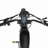 China OEM 1000W Dual Motor Fat Tire Electric Bicycle 20 Inch 48V Aluminum Alloy Frame for sale