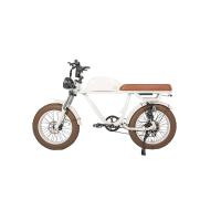 China 48V 1000W LCD Display Electric Bike 20 Inch Fat Tire 7 Speed Vintage Style for sale