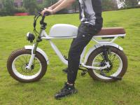 China 48V 1000W LCD Display Electric Bike 20 Inch Fat Tire 7 Speed Vintage Style for sale