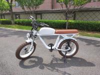 China 48V 1000W LCD Display Electric Bike 20 Inch Fat Tire 7 Speed Vintage Style for sale