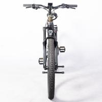 China Carbon Fiber Electric Mountain Bike 29 Inch 1000W Bafang M620 Motor DPC-18 Display for sale
