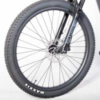 China Carbon Fiber Electric Mountain Bike 29 Inch 1000W Bafang M620 Motor DPC-18 Display for sale