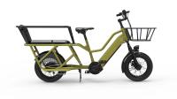 China 48V 12.8Ah Cargo E-Bike Food Delivery Electric City Bike 20 Inch for sale