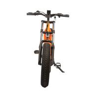 China 48V Electric Bike 13Ah Battery 750W 1000W Motor 7 Speed 20 Inch Tire 180KG Load Capacity for sale
