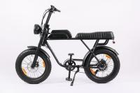 China 48V 1000W Electric Fat Tire Bike 20 Inch Carbon Fiber Frame 7 Speed E Bike for Adults for sale