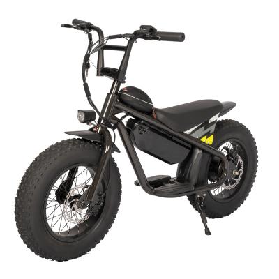 China Aluminum Alloy Kids Motorcycle Ebike 750W 48V 13Ah Battery Electric Bicycle for Children for sale