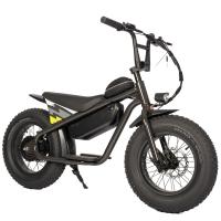 China Aluminum Alloy Kids Motorcycle Ebike 750W 48V 13Ah Battery Electric Bicycle for Children for sale