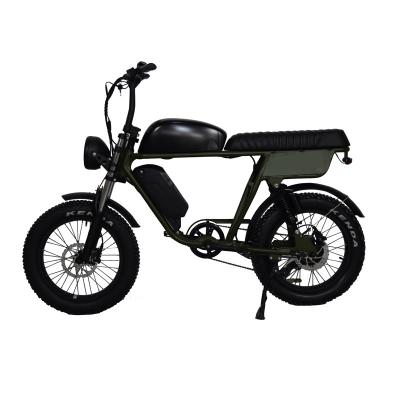 China 48V 500W 120kg Max Load Electric Bike with LCD Display and Dual Shock Absorbers for sale