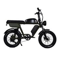 China 48V 500W 120kg Max Load Electric Bike with LCD Display and Dual Shock Absorbers for sale