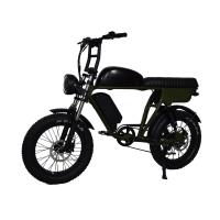 China 48V 500W 120kg Max Load Electric Bike with LCD Display and Dual Shock Absorbers for sale