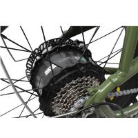 China DOMANCA Vintage Off-Road E Bike 48V 10Ah Lithium Battery 26x4.0 Fat Tire 7 Speed Disc Brake for sale