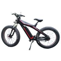 China Carbon Fiber Enduro Electric Mountain Bike 750W Motor 48V 13Ah Battery Disc Brake for sale