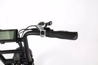 China Domanca 48V 1000W E Bike Vintage Electric Motor Bike 20 Inch Fat Tyre 7 Speed for sale