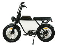 China Domanca 48V 1000W E Bike Vintage Electric Motor Bike 20 Inch Fat Tyre 7 Speed for sale