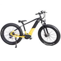 China Customized Dual Motor Electric Mountain Bike 48V 1000W Central Motor 50km/h Max Speed for sale