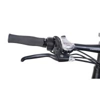 China Customized Dual Motor Electric Mountain Bike 48V 1000W Central Motor 50km/h Max Speed for sale