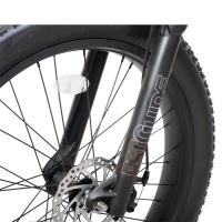 China Customized Dual Motor Electric Mountain Bike 48V 1000W Central Motor 50km/h Max Speed for sale