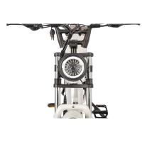 China Vintage Moto Style Electric Bike 20 Inch Fat Tire Ebike 1000W Motor 48V 17.5Ah Battery for sale