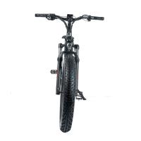 China 48V 500W Electric Mountain Bike with 20x4.0 Kenda Tires and Disc Brake for sale