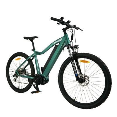 China Customized Fat Tire E Bike 2024 36V 9.6Ah Lithium Battery Disc Brake 700C 8 Speed for sale