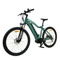 China Customized Fat Tire E Bike 2024 36V 9.6Ah Lithium Battery Disc Brake 700C 8 Speed for sale
