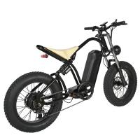 China Domanca 2024 Electric Mountain Bike 20 Inch 48V Rear Hub Motor 22.5Ah Lithium Battery 7 Speed for sale