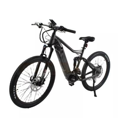 China DOMANCA 2024 Integrated Battery Mid Motor Electric Mountain Bike 48V 750W 20Ah for sale