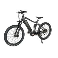 China 2024 Custom Mid Drive Electric Mountain Bike 48V 750W Bafang Motor 26x4.0 Fat Tire for sale