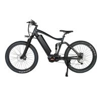 China 2024 Custom Mid Drive Electric Mountain Bike 48V 750W Bafang Motor 26x4.0 Fat Tire for sale
