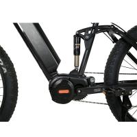 China 2024 Custom Mid Drive Electric Mountain Bike 48V 750W Bafang Motor 26x4.0 Fat Tire for sale