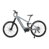 China 48V 15Ah Carbon Fibre Fat Tire Electric Motorcycle with Bafang Central Motor 11 Speed for sale
