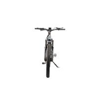 China 48V 15Ah Carbon Fibre Fat Tire Electric Motorcycle with Bafang Central Motor 11 Speed for sale