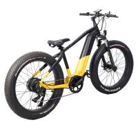 China Customized Dual Motor Electric Mountain Bike 48V 1000W 20Ah Lithium Battery 26x4.0 Tires 11 Speed for sale