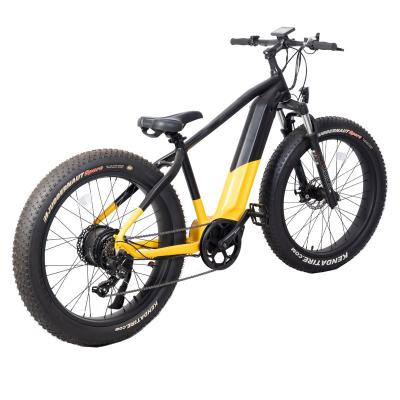 China Customized Dual Motor Electric Mountain Bike 48V 1000W 20Ah Lithium Battery 26x4.0 Tires 11 Speed for sale
