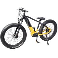China Customized Dual Motor Electric Mountain Bike 48V 1000W 20Ah Lithium Battery 26x4.0 Tires 11 Speed for sale