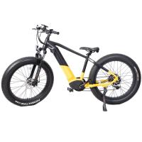 China Customized Dual Motor Electric Mountain Bike 48V 1000W 20Ah Lithium Battery 26x4.0 Tires 11 Speed for sale