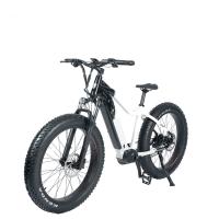 China Domanca 48V 500W Bafang Full Suspension City Electric Bike 20x4.0 Fat Tire 60km Range for sale