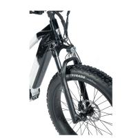 China Domanca 48V 500W Bafang Full Suspension City Electric Bike 20x4.0 Fat Tire 60km Range for sale