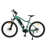 China Customized Fat Tire E Bike 8 Speed 36V 9.6Ah Lithium Battery Electric Mountain Bicycle for sale