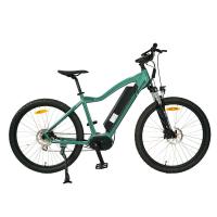 China Customized Fat Tire E Bike 8 Speed 36V 9.6Ah Lithium Battery Electric Mountain Bicycle for sale