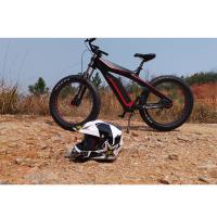 China Carbon Fiber Enduro Ebike 26x4.0 Fat Tire Bafang 750W Motor 48V 13Ah Battery for sale