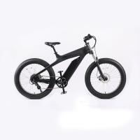 China Carbon Fiber Enduro Ebike 26x4.0 Fat Tire Bafang 750W Motor 48V 13Ah Battery for sale