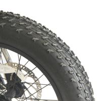 China Commute Warehouse 1000W 48V 750W Dual Motor Fat Tire Electric Bike Cruiser for sale