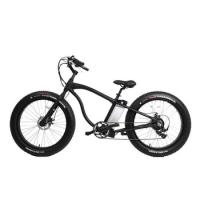 China 750W Fat Tire Electric Bike 48V 13Ah Lithium Battery 60km Range High Torque Motor for sale